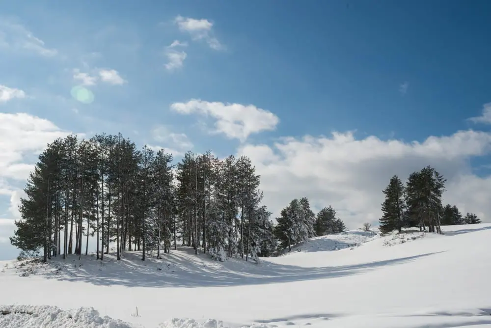 Alla scoperta della Sila: il volto invernale della Calabria - METEO ...