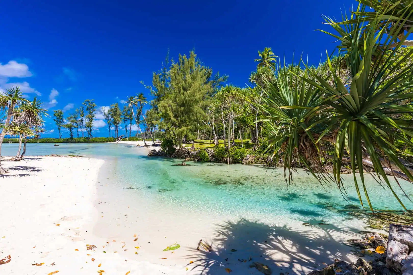 Vanuatu: ⁢un ‍esempio unico ‌di⁣ sostenibilità immerso nelle acque ...