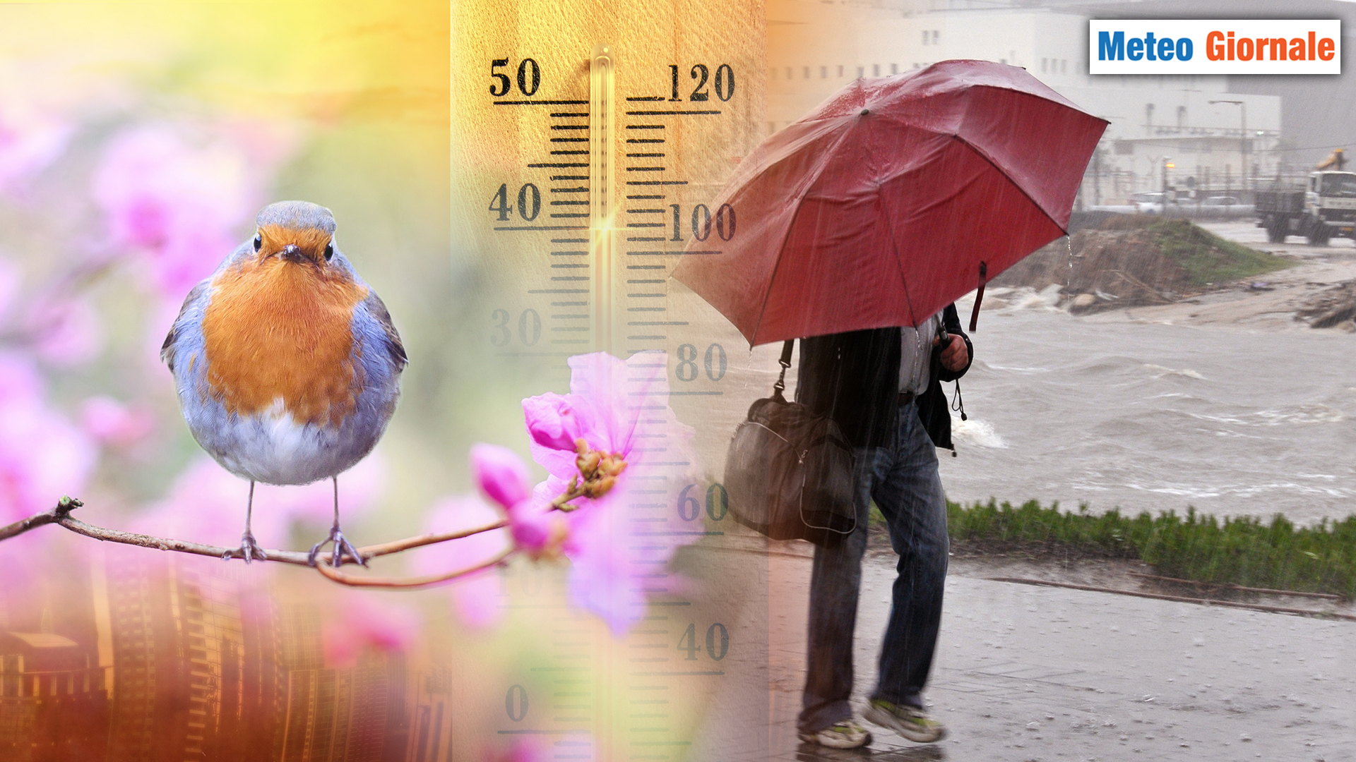 Temperature, punte fino a 27 gradi, ma dal weekend crolla tutto - METEO ...